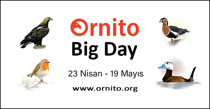 ORNITO.ORG - ORNITO QUIZ